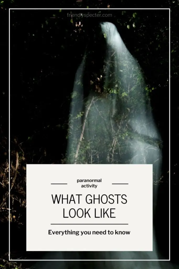 What ghosts look like: Everything you need to know – Friendly Specter