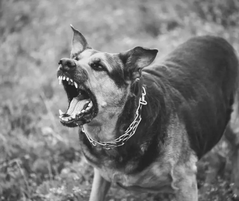 19 Signs of Demonic Possession – Friendly Specter