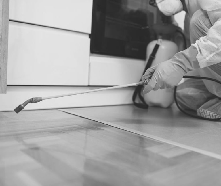 The 5 Best Ways to Get Rid of a Demon [+Action Steps] – Friendly Specter