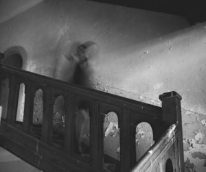 How to Use a K2 EMF Meter [9-Step Guide] – Friendly Specter