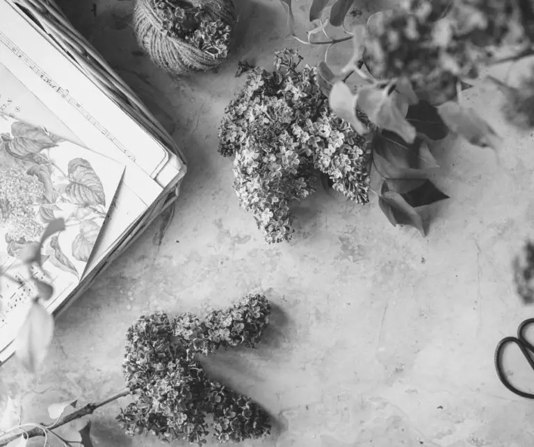 Can you smell a ghost? [What you should know] – Friendly Specter