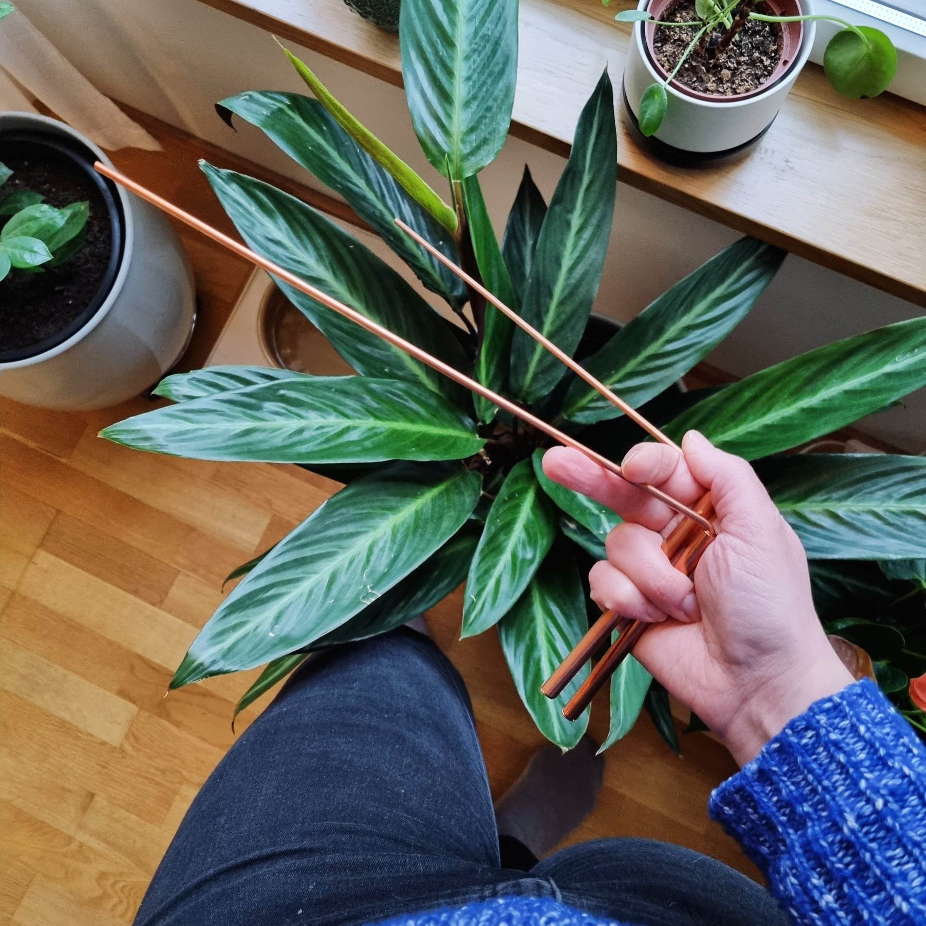 Ghost hunting equipment – Friendly Specter