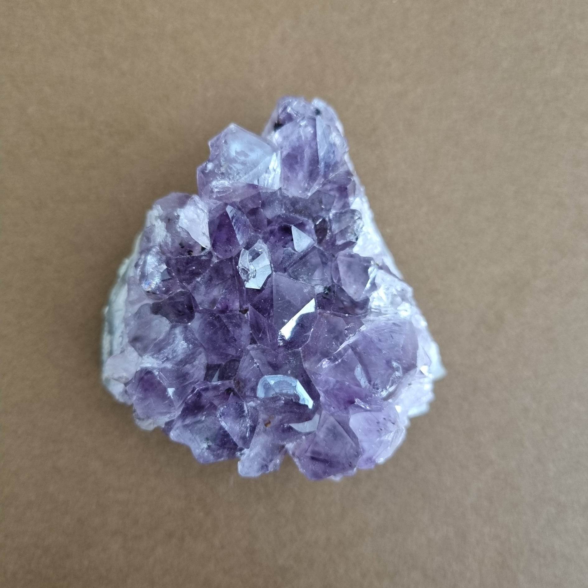 Ghost hunting equipment – Friendly Specter